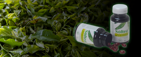 Soltea, Lower Cholesterol, Caffeine Free Green Tea,Natural Supplement