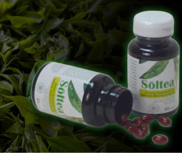 Soltea, Lower Cholesterol, Caffeine Free Green Tea,Natural Supplement
