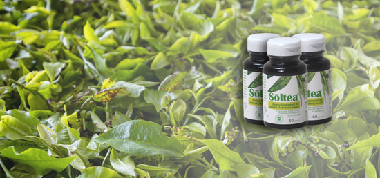 Soltea, Lower Cholesterol, Caffeine Free Green Tea,Natural Supplement